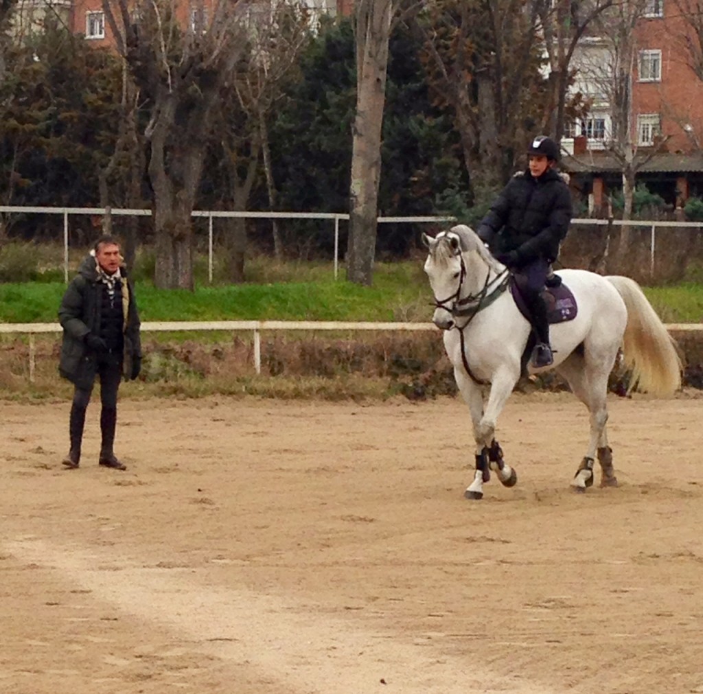 Real Federación Hípica Española