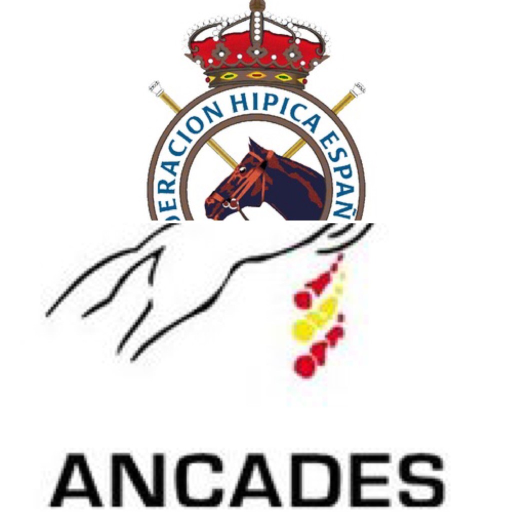 Real Federación Hípica Española