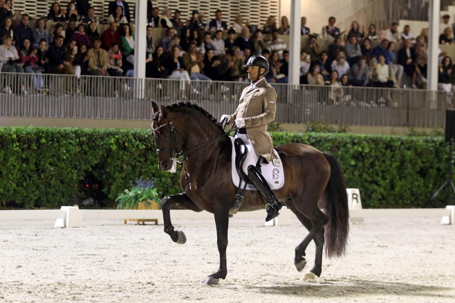 Real Federación Hípica Española